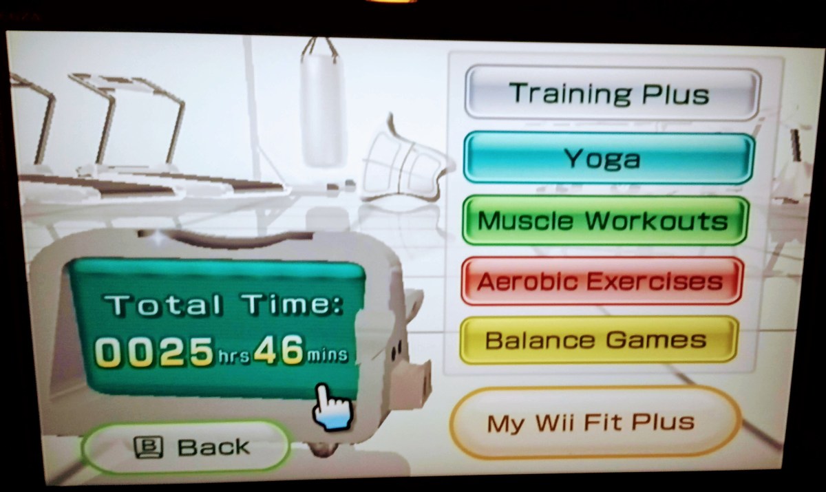 Mission agencies, Governance and the Wii – Distinct Reflections