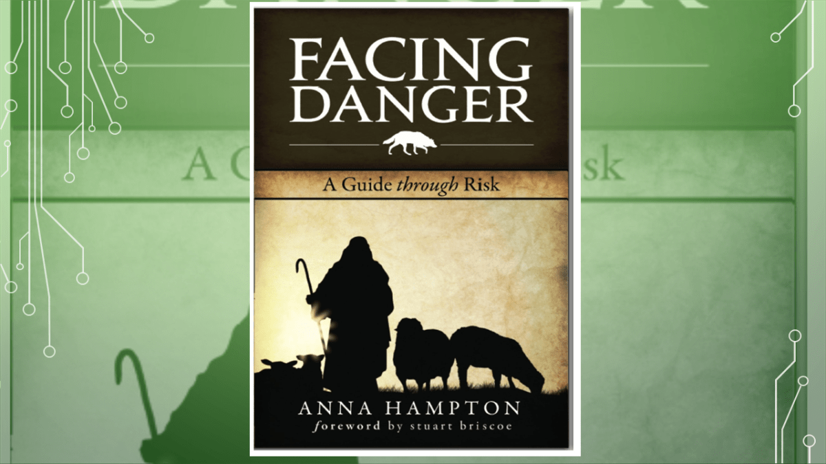 Facing Danger: Risk Assessment and Management – Distinct Reflections